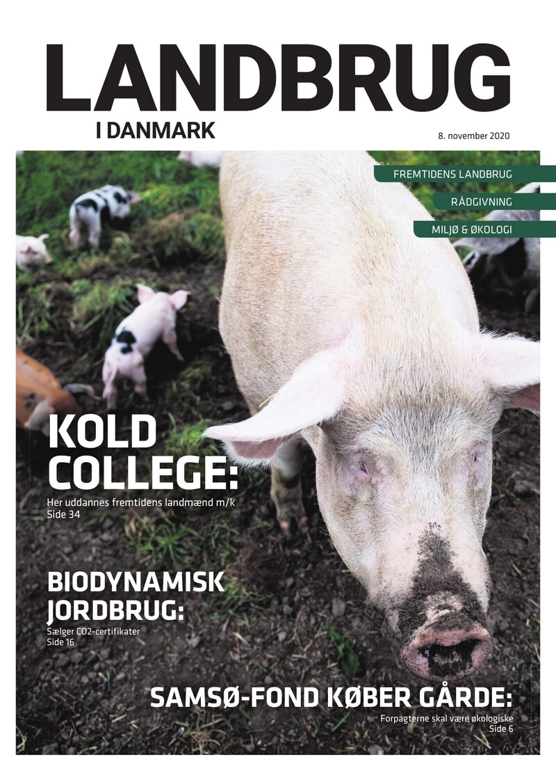 Landbrug i Danmark - 2020-11-08