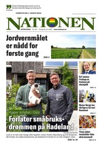 Ulv, Sau | Ulv tok seks sauer i Oppdal – tillatelse til skadefelling